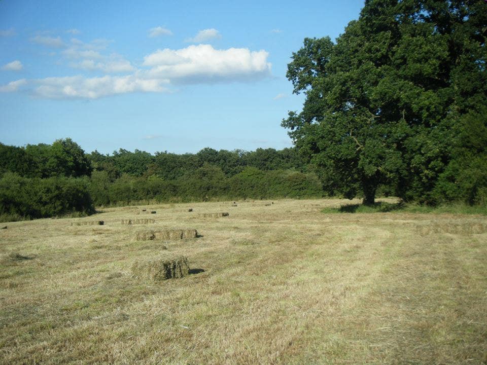 Hay And Hayladge